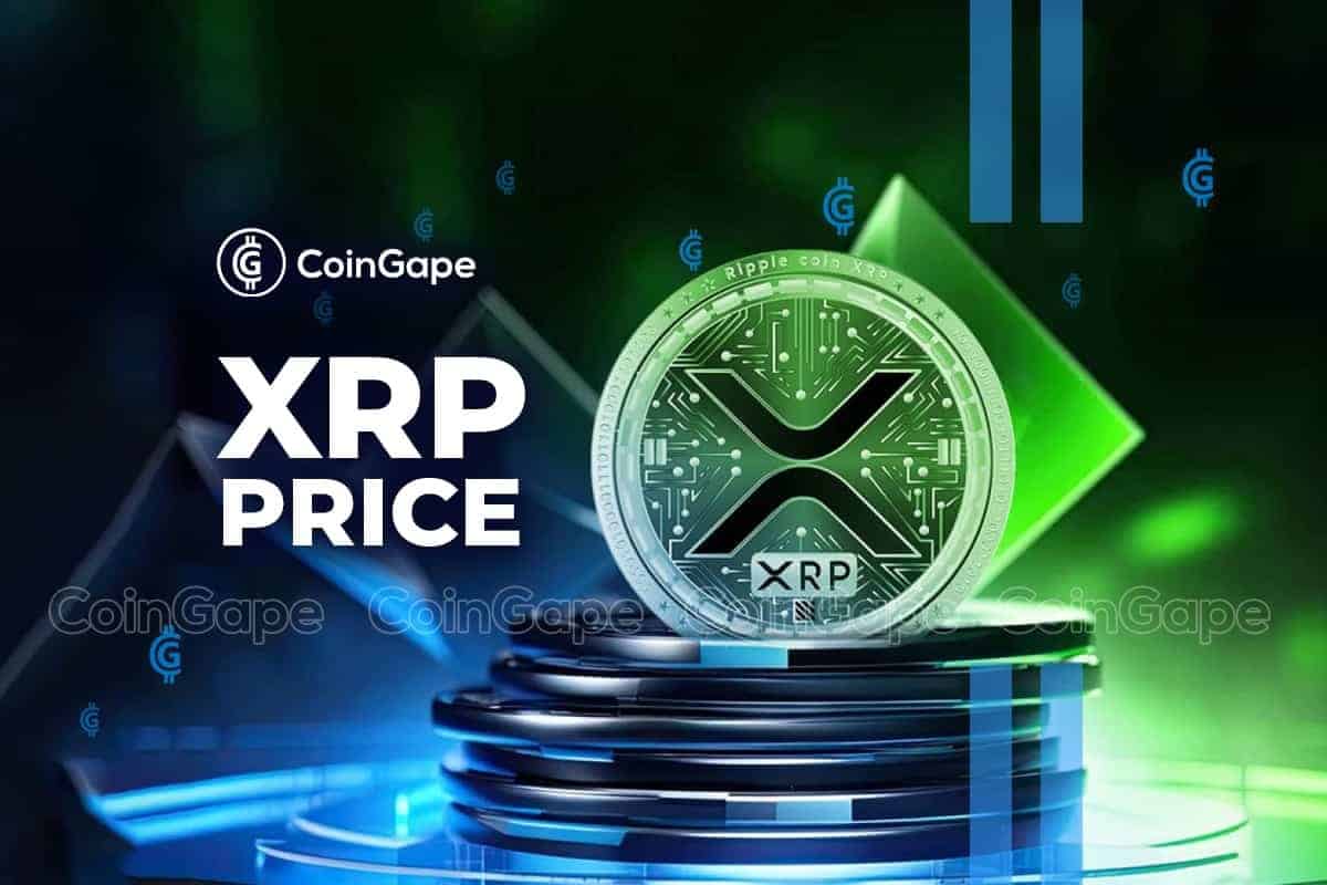 How Whale Movements Impact XRP’s Price - XRP Authority