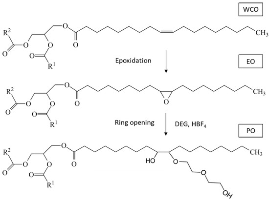 Who is Rosie Rios? A Biography - XRP Authority