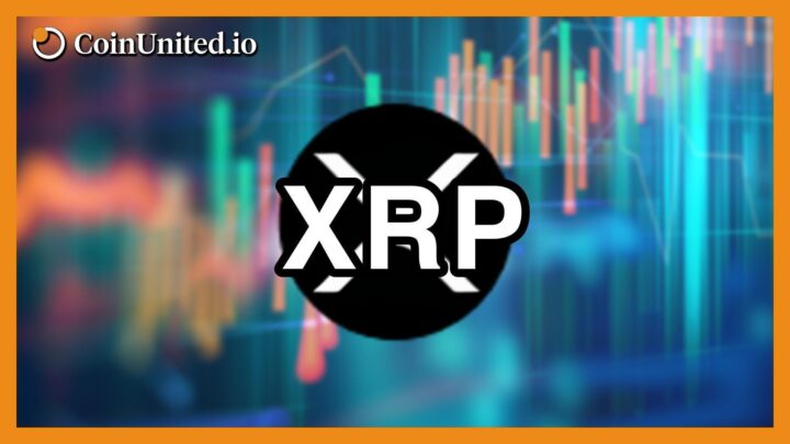 XRP borrowing platforms - XRP Authority